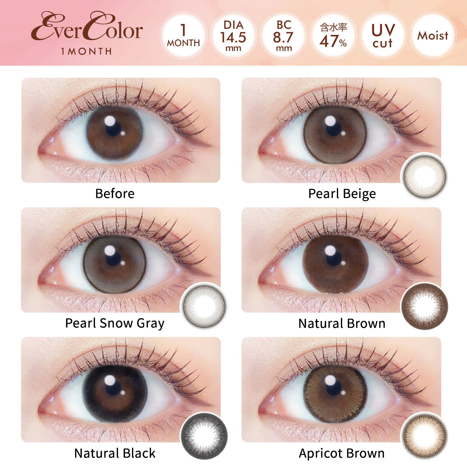 EverColor 1 Month - Dailycons