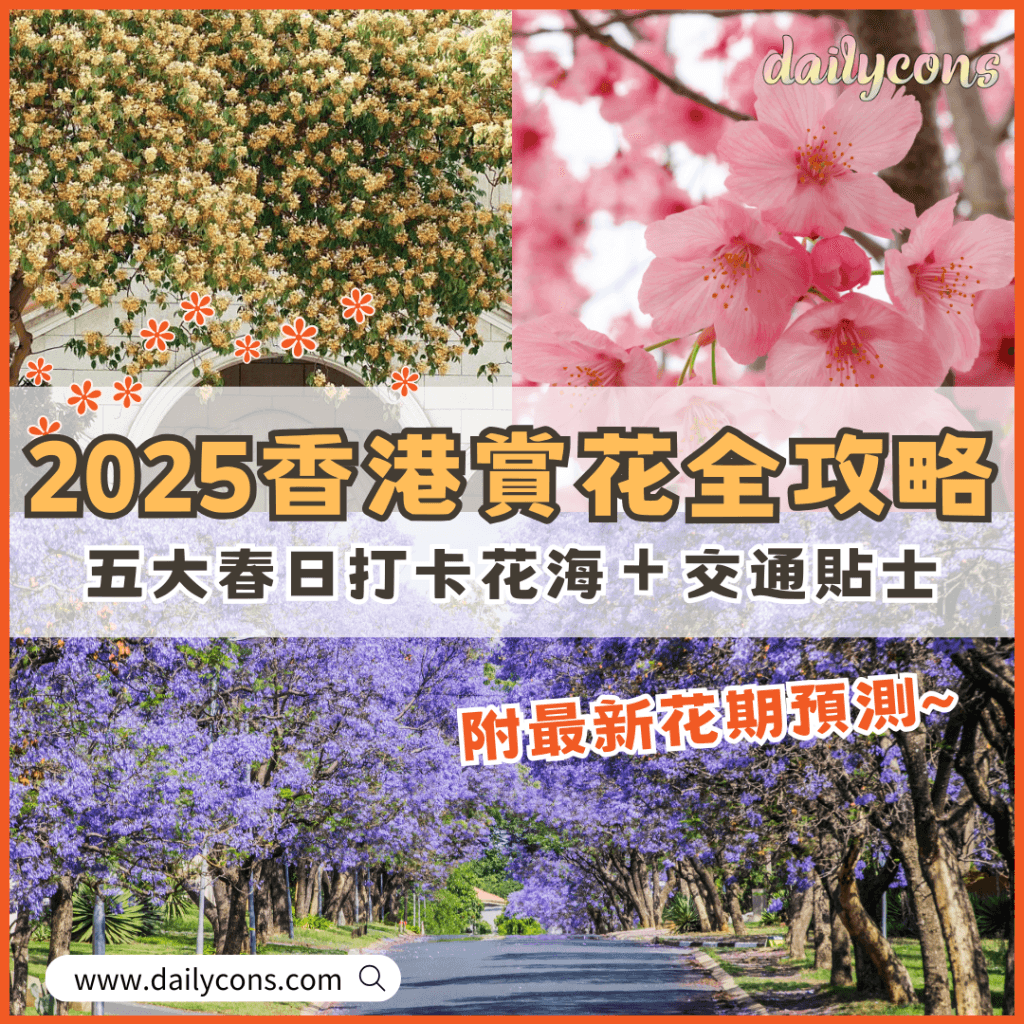 香港賞花攻略︱花展2025+五大春日打卡花海 - Dailycons