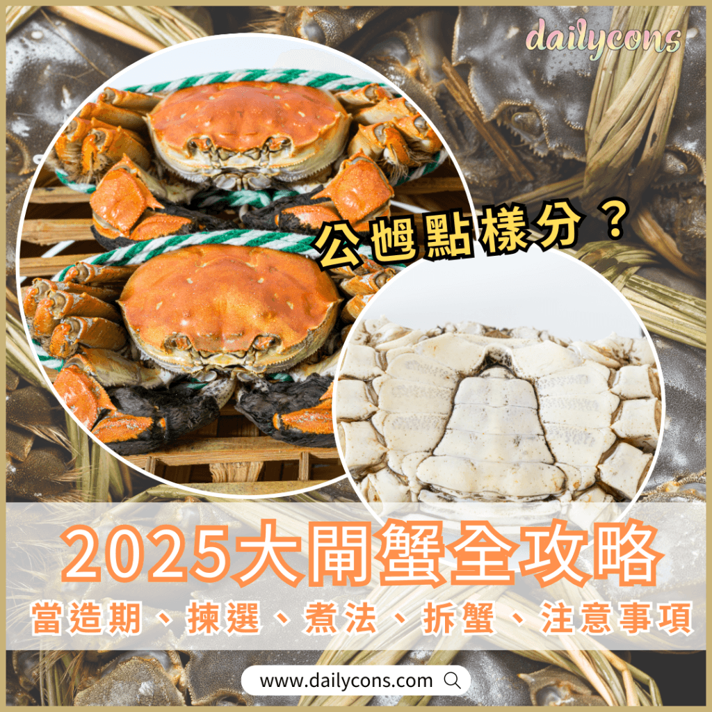 【2025大閘蟹全攻略】大閘蟹當造期、揀選、煮法 - Dailycons